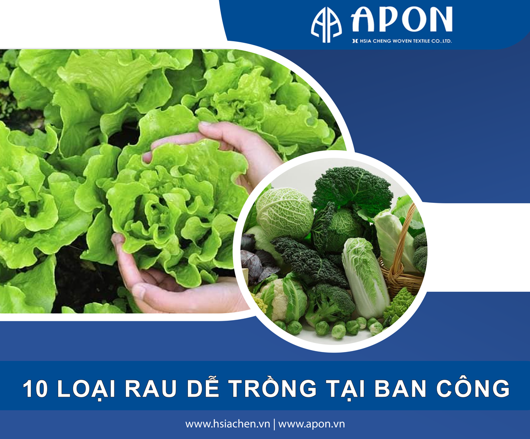 10 loại rau dễ trồng nhất cho vườn ban công nhà bạn